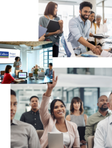 Careers | Colliers Project Leaders