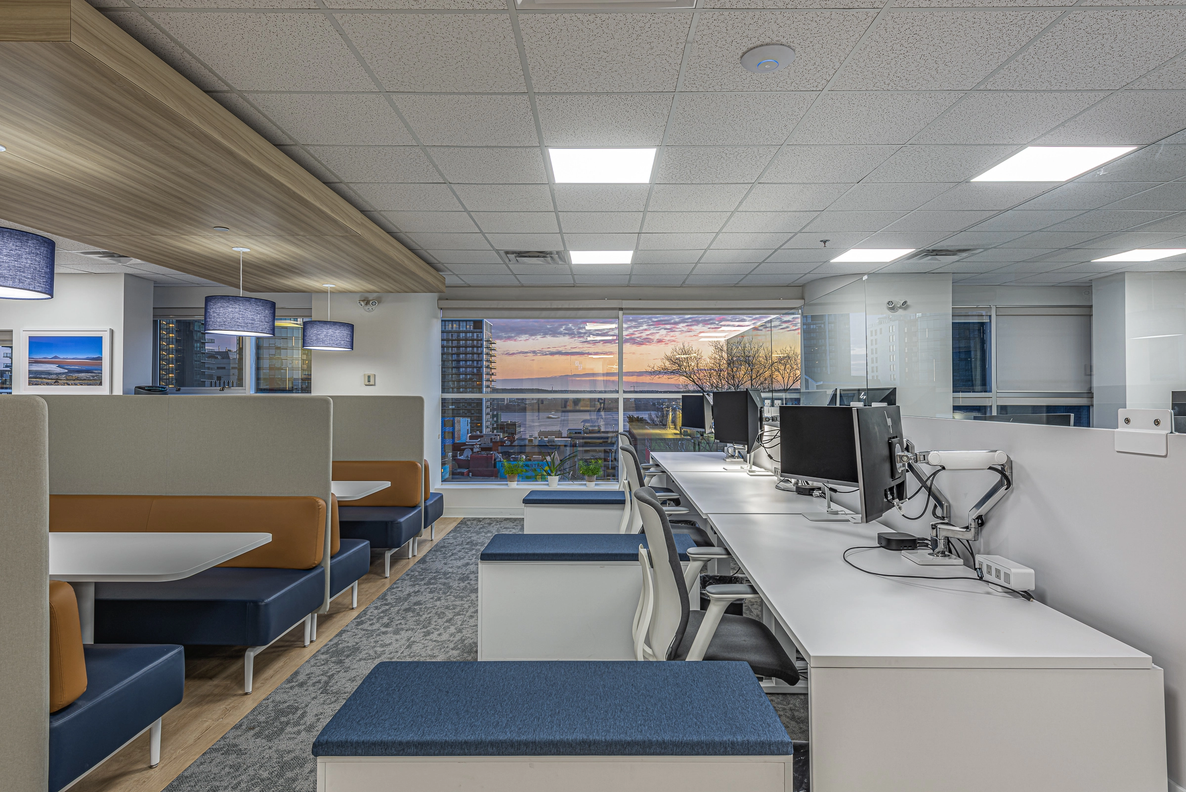 Hali Hub: A Sustainable, Functional and Flexible Office Space ...