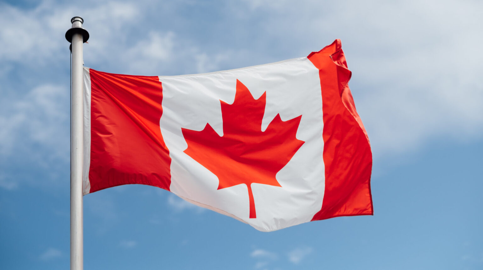 About Us | Capital Program Delivery | Colliers Project Leaders